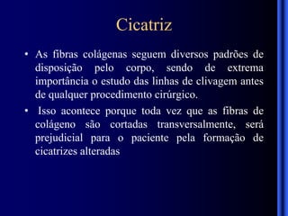 Linhas de Força de Langers.pptx