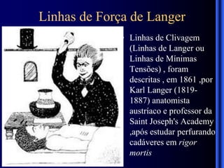Linhas de Força de Langers.pptx