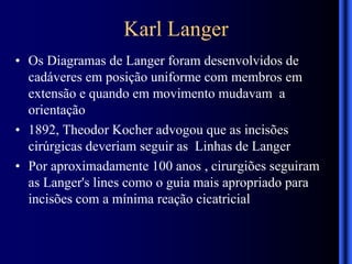 Linhas de Força de Langers.pptx