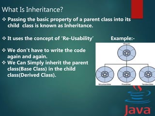 Basic Concepts Of OOPS/OOPS in Java,C++ | PPTX | Programming Languages | Computing