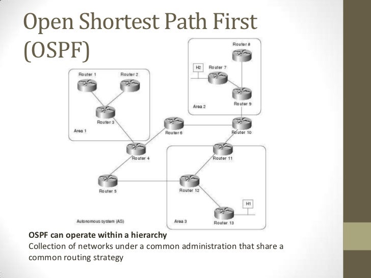 Link State Routing Protocol 