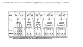 Linkage | PPT