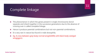 Linkage/class 12 biology | PPTX