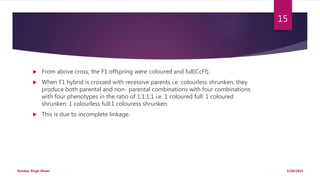 Linkage/class 12 biology | PPTX