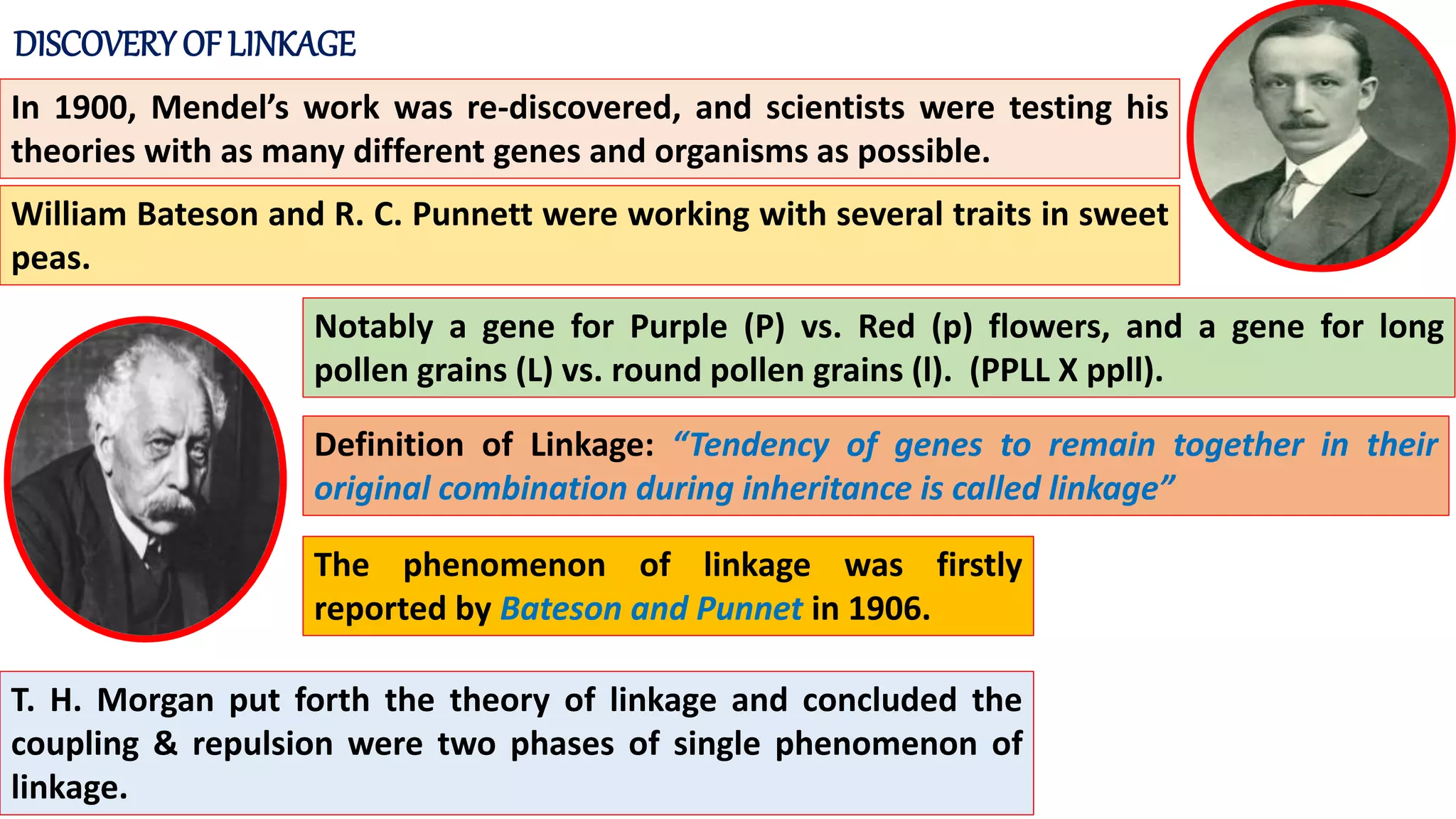 linkage.pptx | Genetics | Science
