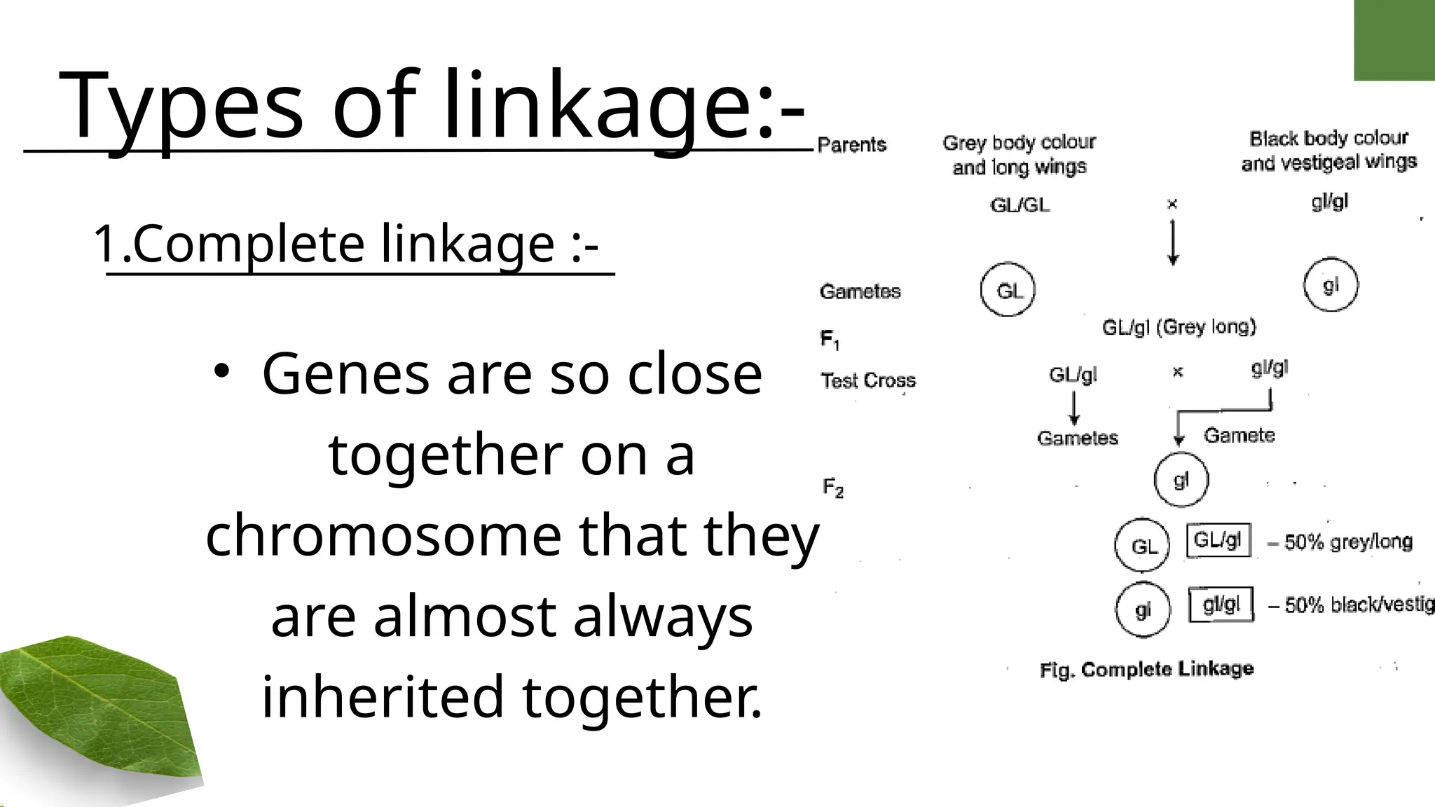 linkage .pptx Botany carrier | PPTX