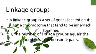 linkage .pptx Botany carrier | PPTX