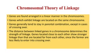 GENETIC LINKAGE - TYPES OF LINKAGE, LINKAGE GROUPS | PDF