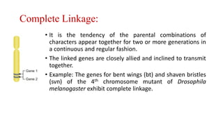 GENETIC LINKAGE - TYPES OF LINKAGE, LINKAGE GROUPS | PDF