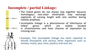 GENETIC LINKAGE - TYPES OF LINKAGE, LINKAGE GROUPS | PDF