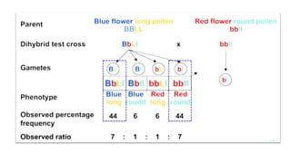 GENETIC LINKAGE - TYPES OF LINKAGE, LINKAGE GROUPS | PDF