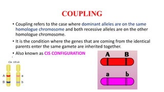 GENETIC LINKAGE - TYPES OF LINKAGE, LINKAGE GROUPS | PDF