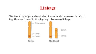 GENETIC LINKAGE - TYPES OF LINKAGE, LINKAGE GROUPS | PDF