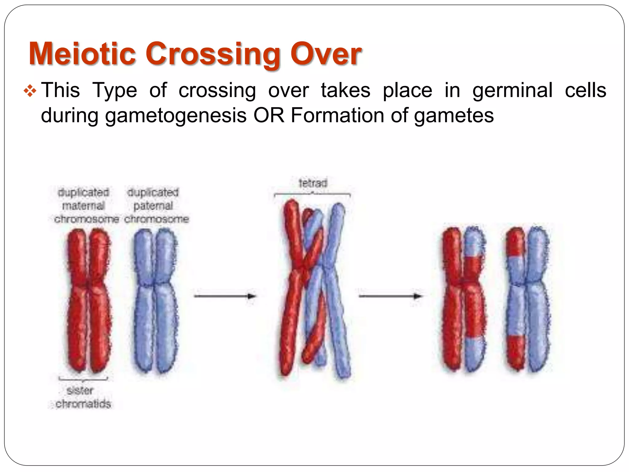 LINKAGE-AND-CROSSING-OVER-8.ppt