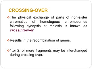 LINKAGE-AND-CROSSING-OVER-8.ppt