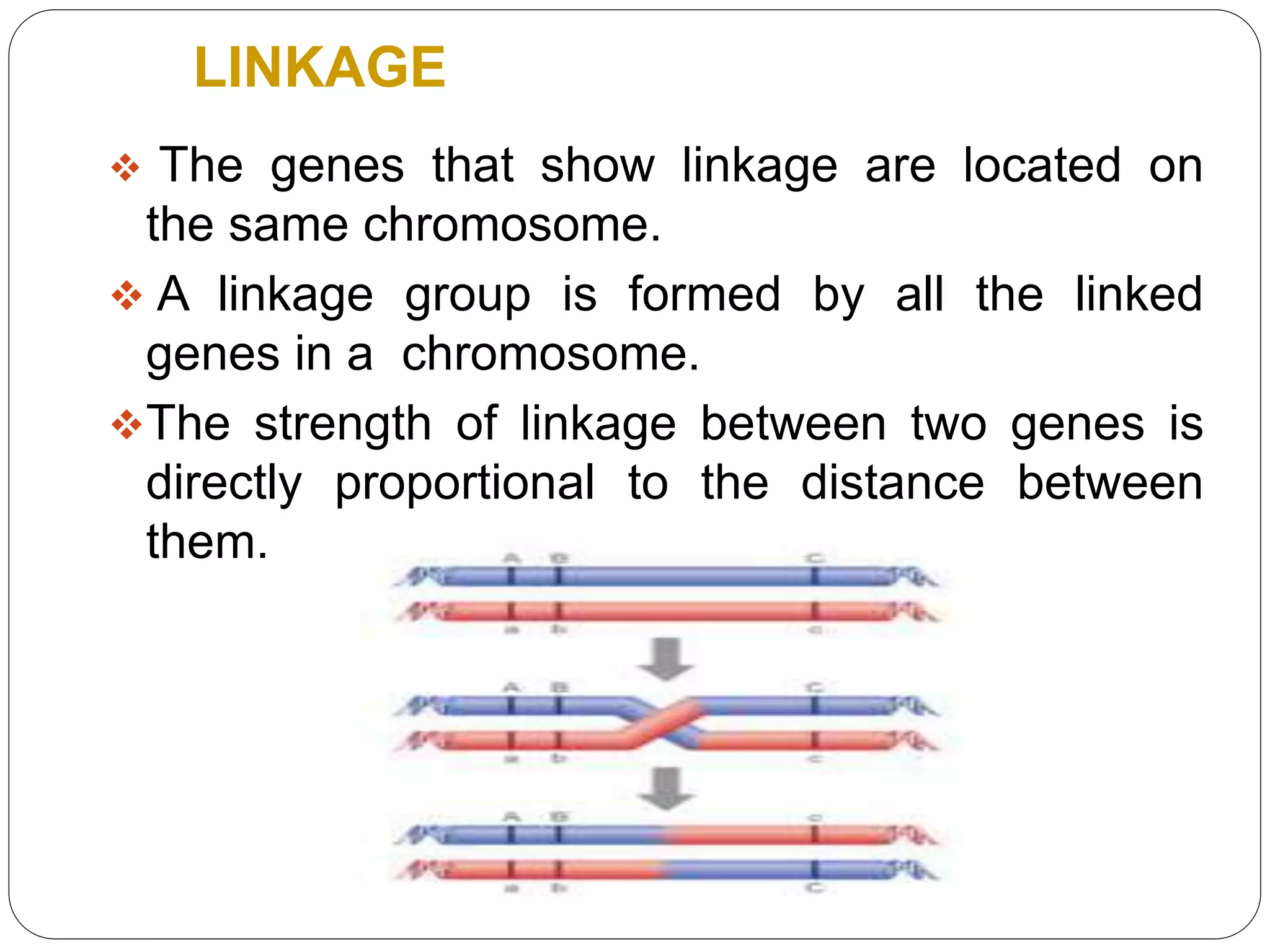 LINKAGE-AND-CROSSING-OVER-8.ppt