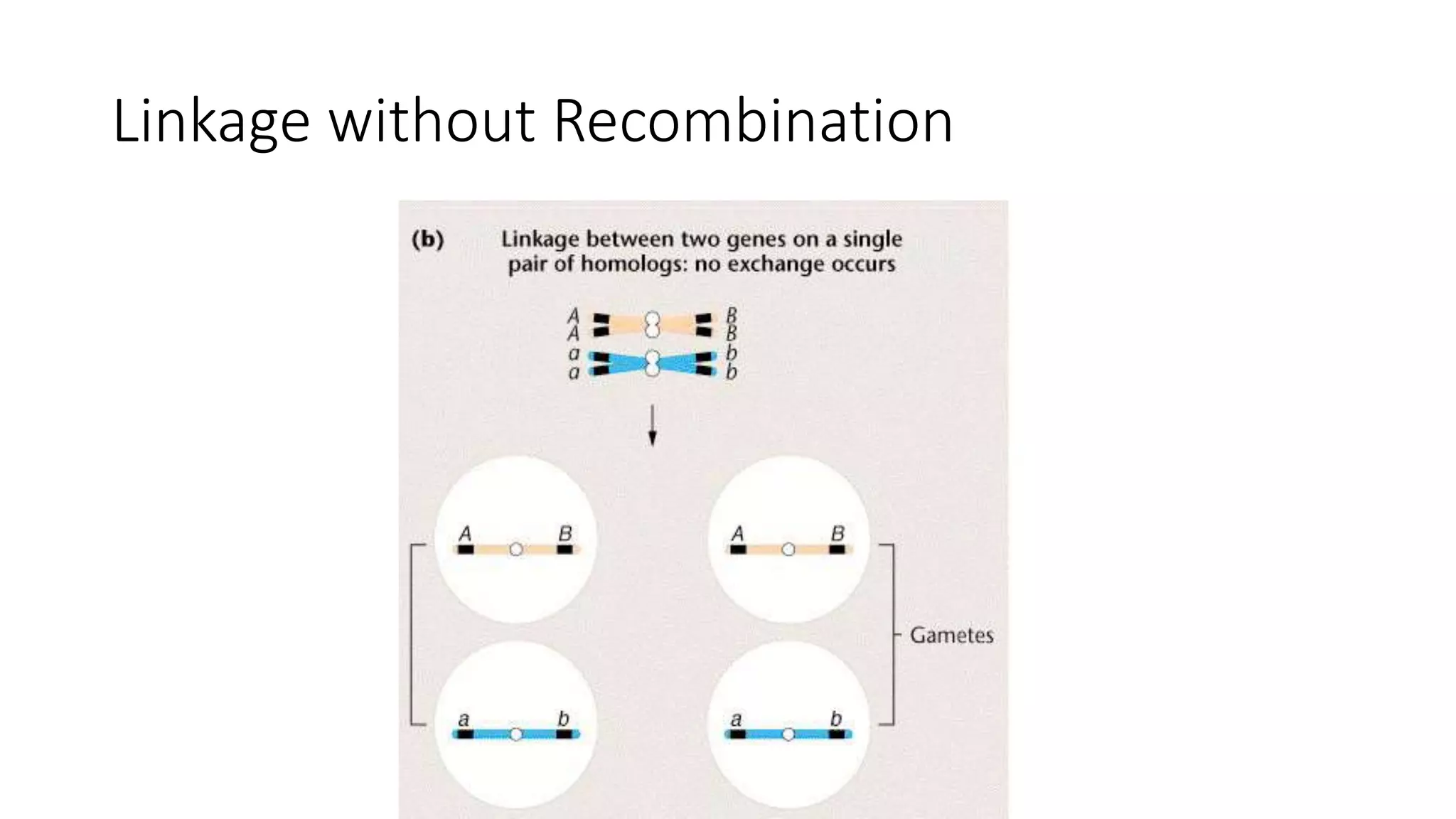 Linkage analysis and genome mapping | PPTX
