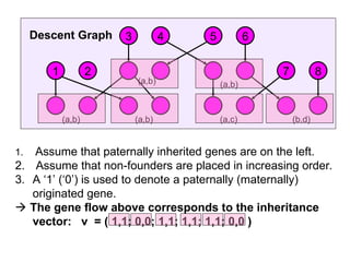 Linkage Analysis LOD recombination .ppt | Genetics | Science