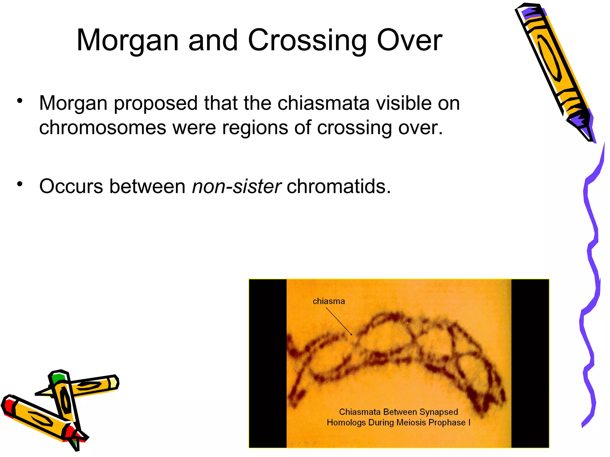 Linkage and crossing over | PPT