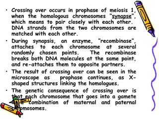Linkage and crossing over | PPT