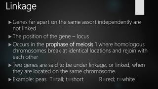 Linkage and crossing over | PPTX