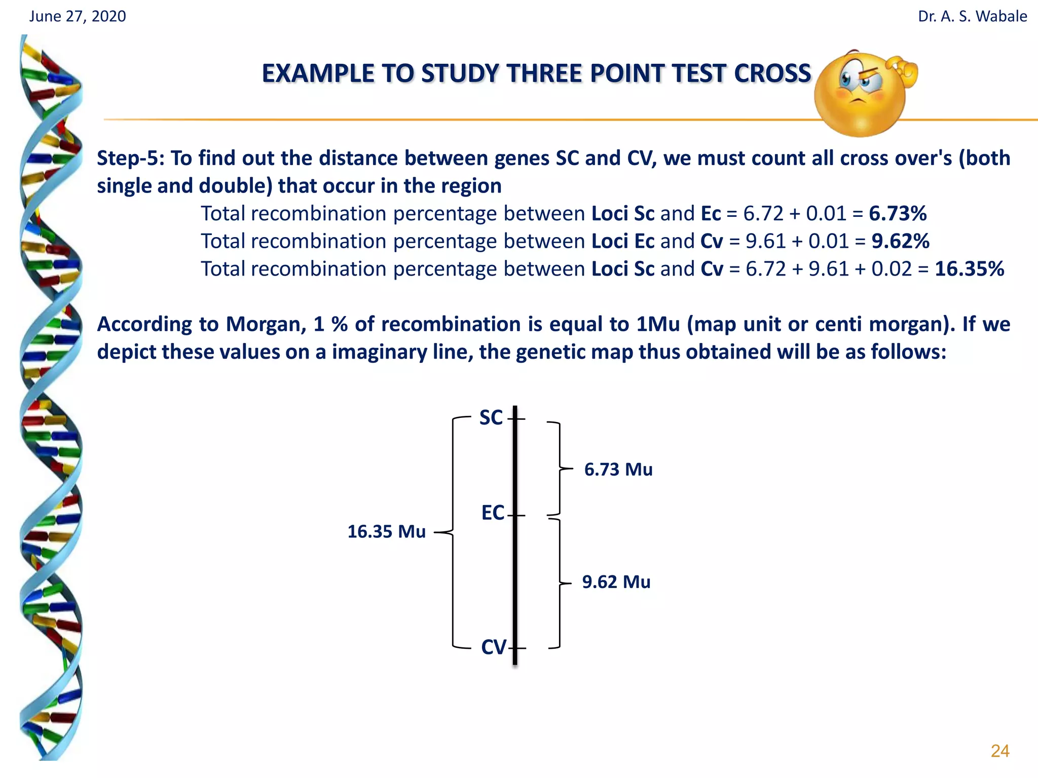 Linkage and crossing over | PDF