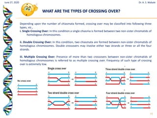 Linkage and crossing over | PDF