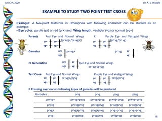 Linkage and crossing over | PDF
