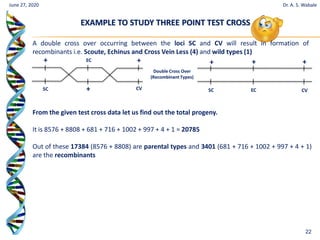 Linkage and crossing over | PDF