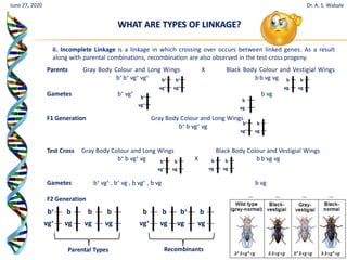 Linkage and crossing over | PDF