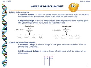 Linkage and crossing over | PDF