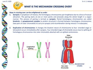 Linkage and crossing over | PDF