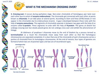 Linkage and crossing over | PPT