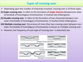 Linkage and crossing over | PPTX