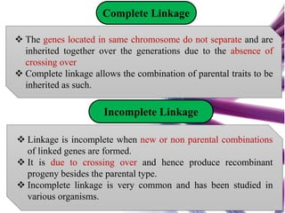 Linkage and Crossing over (Sanjay Chetry).pptx | Genetics | Science