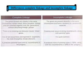 Linkage and Crossing over (Sanjay Chetry).pptx | Genetics | Science