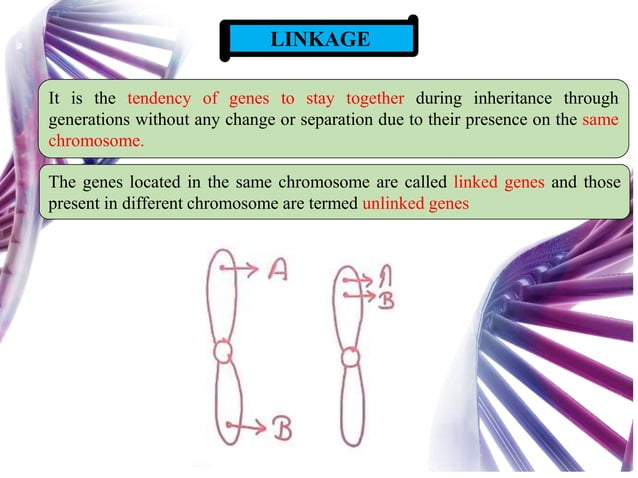 Linkage and Crossing over (Sanjay Chetry).pptx | Genetics | Science