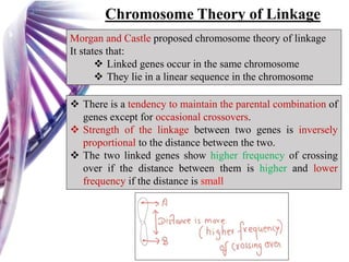 Linkage and Crossing over (Sanjay Chetry).pptx | Genetics | Science