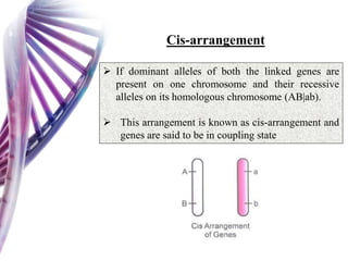 Linkage and Crossing over (Sanjay Chetry).pptx