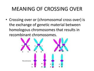 LINKAGE AND CROSSING OVER ppt.pptx