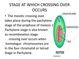 LINKAGE AND CROSSING OVER ppt.pptx