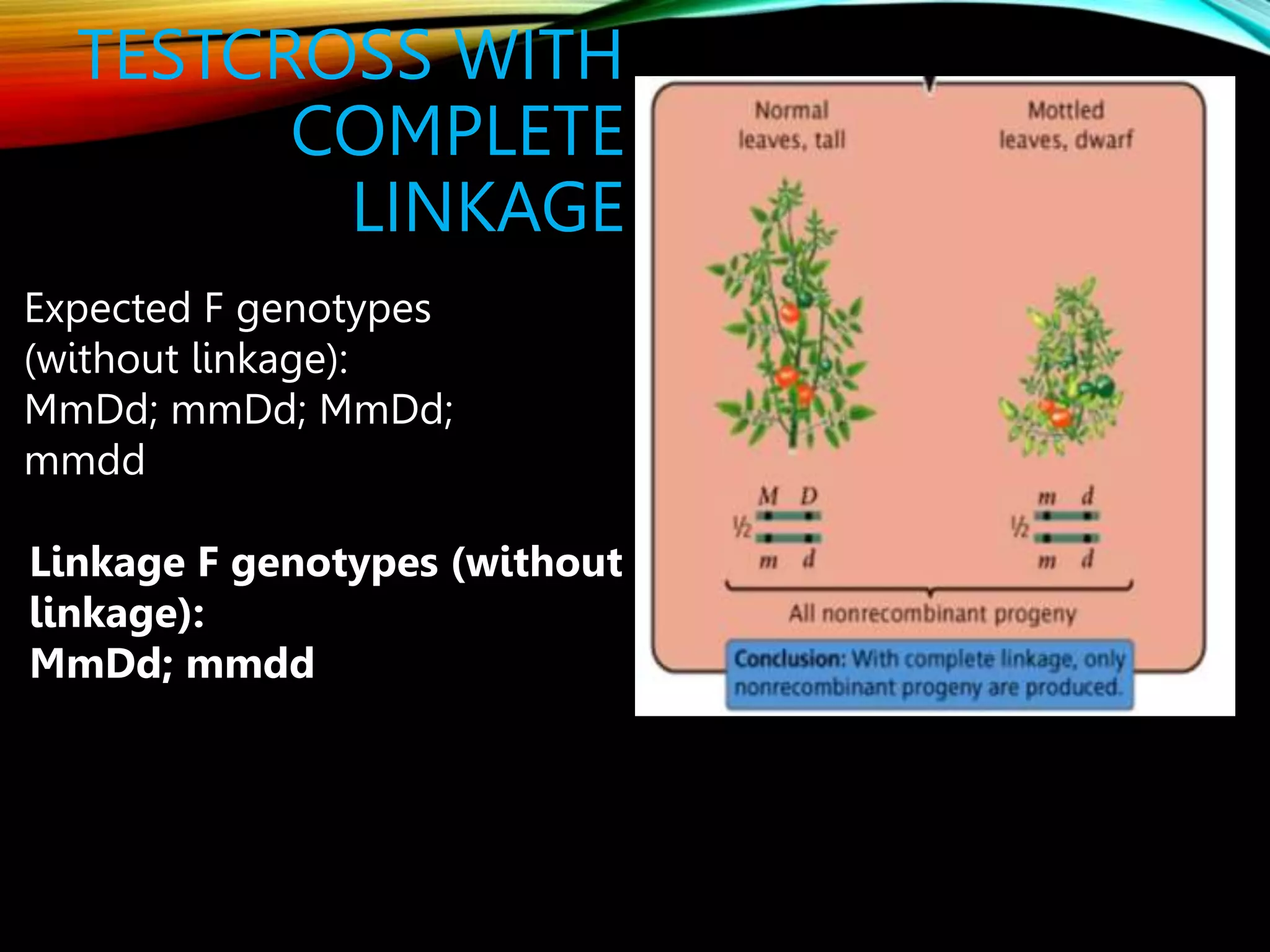Linkage and Recombination.ppt