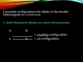 Linkage and Recombination.ppt