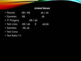 Linkage and Recombination.ppt