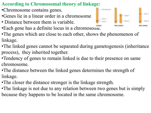 Linkage – concept, types and theories | PPTX