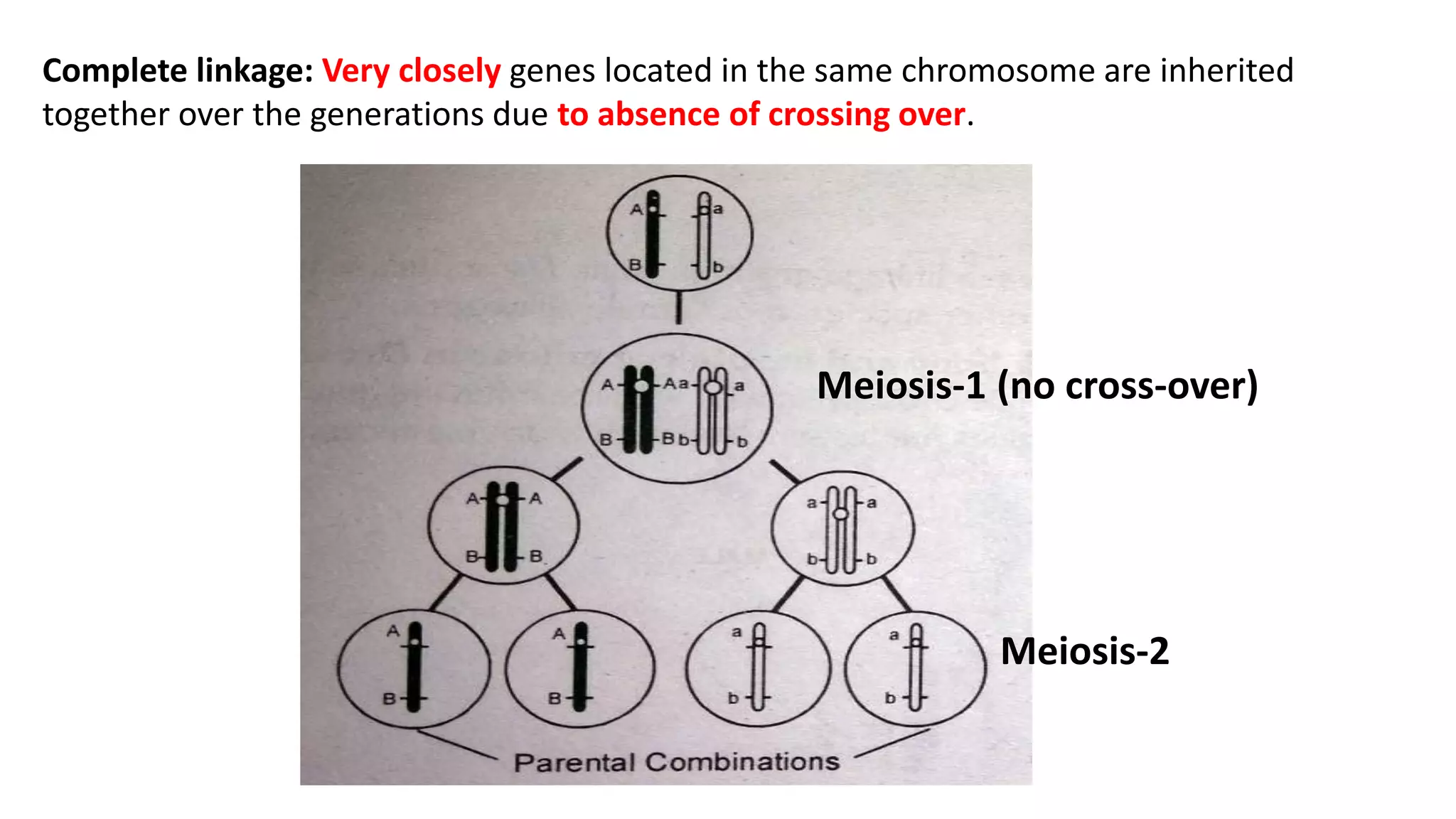Linkage_Crossing_over.pptx