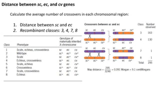 Linkage_Crossing_over.pptx