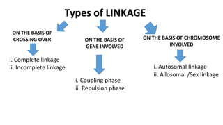 Linkage_Crossing_over.pptx
