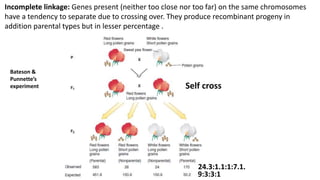 Linkage_Crossing_over.pptx