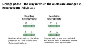 Linkage_Crossing_over.pptx